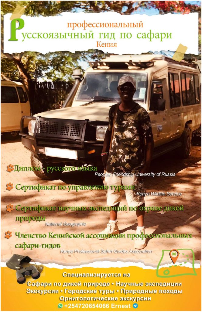 Lake Naivasha| Kenya's Birders Paradise | Safari Sense